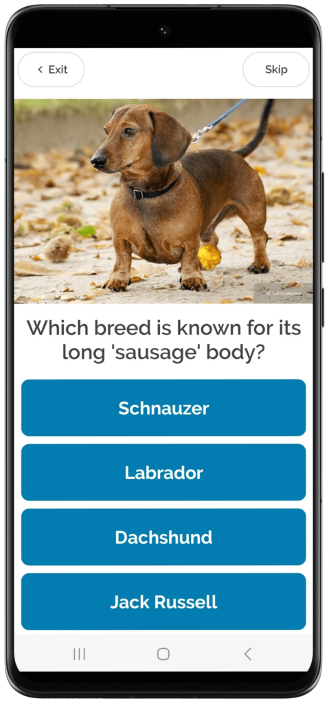 Memory Lane Games - Dementia Digital Health App & Care Giver Support