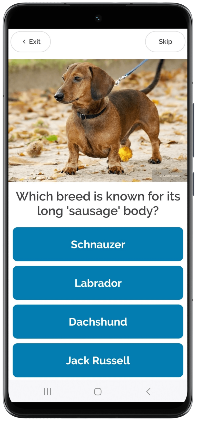 Memory Lane Games - Dementia Digital Health App & Care Giver Support